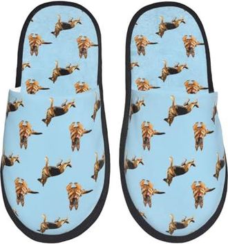 Generic Slippers Berger Allemand Bleu Lavables Pantoufles Légers Chaussons Pour DIntérieur Chambre De Camping L