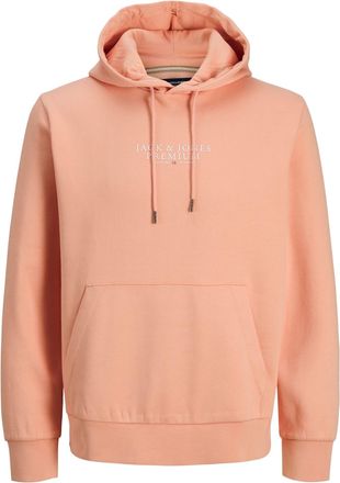 Jack & Jones Sweatshirt JPRBLUArchie