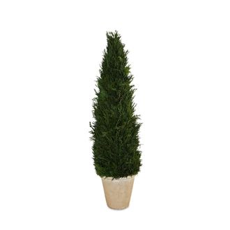 Loberon Deko-Topfpflanze Arras, echte konservierte Zweige, Dekopflanze, Gartendekoration, Outdoor, Zypresse, Styropor, Terrakotta, gr&uuml;n