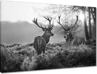 Generic H2467M_PC1L Wandbild auf Leinwand, 90 x 60 cm, Schwarz und Wei&szlig;