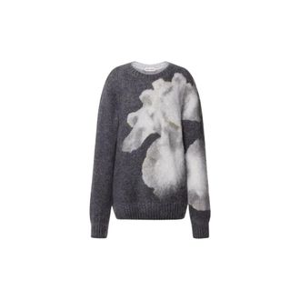 Alberta Ferretti Damen, Strickwaren, Grau, MGr&ouml;&szlig;e
