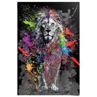Reinders Poster, Coloured Lion, Teenager Zimmer, Poster, Wanddeko, Room Decor, 150 gr. gl&auml;nzend Bilderdruckpapier, Mehrfarbig, 91,5 x 61cm