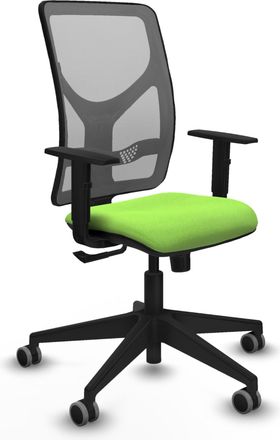 Piqueras y Crespo Stuhl mit leisen Rollen, 1D-Armlehnen, h&ouml;henverstellbare Lendenwirbelst&uuml;tze, mit 3 Positionen und Schneidschaum, Grau/Pistazie