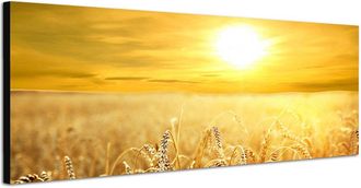 Paul Sinus Art Sinus Art Wandbild 150x50cm Kornfeld Spätsommer Sonnenuntergang golden