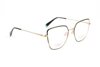 Ana Hickmann Brillenfassung HI1263T 05A 53 Titan