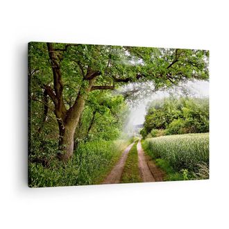 Arttor Bilder auf Leinwand Pfad Natur Wald Grün Leinwandbild mit Rahmen 70x50cm Wandbilder Dekoration Wohnzimmer Schlafzimmer Küche Deko Klein Wanddeko Bild 