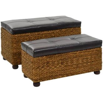 vidaXL Vidaxl - Ensemble de banc lot de 2 Jacinthe deau Marron