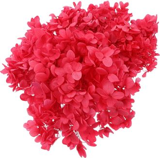 Angoily Nat&uuml;rliche Getrocknete Hortensienbl&uuml;ten Kasten Unsterbliche Blumenmaterialien f&uuml;r Selbstgemacht Handwerk Lebensechte Konservierte Bl&uuml;ten Weich und Lan