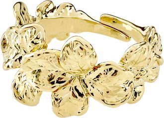 Pilgrim Ring Echo