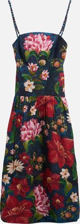 Barbour X Farm Rio Kleid Wild Flower