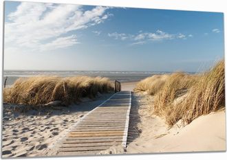 Wallario Herdabdeckplatte/Spritzschutz aus Glas, 1-teilig, 90x52cm, für Ceran- und Induktionsherde, Auf dem Holzweg zum Strand