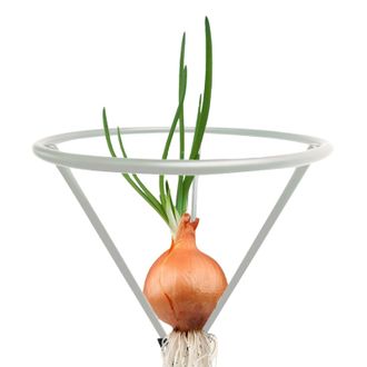 Generico Avocado-Anzuchtständer - Avocadobaum, dreieckiger Avocado-Anzuchtständer, Avocado-Wurzelständer, Metall-Dreieck-Rack für Avocado-Starter