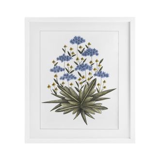 Stupell Industries Wo Wildblumen blühen, gerahmter Druck unter Glas, Design von Cecilia Battaini, 40,6 x 33 cm, Grau