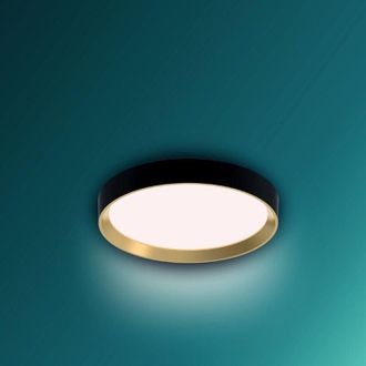 Philips 8720169301337 Hanno LED-Deckenleuchte LED 24 W Schwarz, Gold
