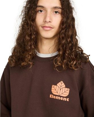 Element Sweatshirt Sporting