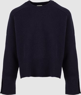 Notshy Pull Xenia Marine