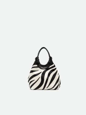 Gianni Chiarini DUA