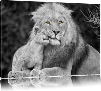 Pixxprint schöner Löwe mit Jungtier B&W, Größe: 120x80cm, Leinwandbild, fertig gespannt, Wandbild, Dekoration, Kunstdruck, kein Poster