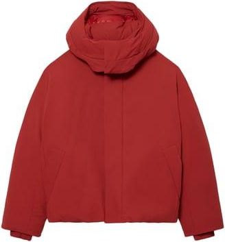 Lacoste Veste matelass&eacute;e &agrave; capuche unie