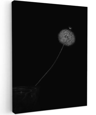 MuchoWow &copy; Leinwandbild 60x80 cm Dekoration Wohnzimmer Bilder Aufh&auml;ngen Wall Decoration Living Room Wohnungs Deko Moderne Wanddeko Schwarz - Schwarze Leinwand 