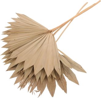 Cabilock 4stücke Getrocknete Palmblatt-dekoration Für Boho-wandgestaltung Hochzeits Und Partykreationen Natürliche Pflanzenarrangements Für Wohnzimmer Und Öffe