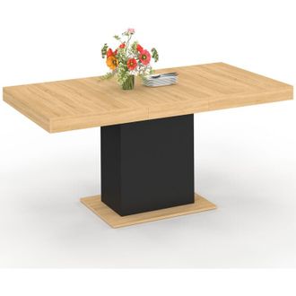 IDMarket Table &agrave; manger extensible rectangle EDEN 4-6 personnes bois et noir 120-160 cm