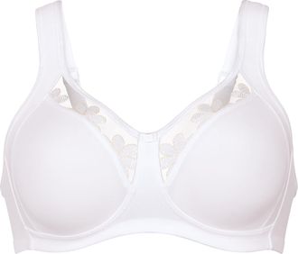 Anita BH Sophia