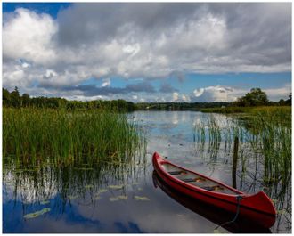 Wallario Poster - Rotes Kanu am See in Premiumqualit&auml;t, Gr&ouml;&szlig;e: 40 x 50 cm
