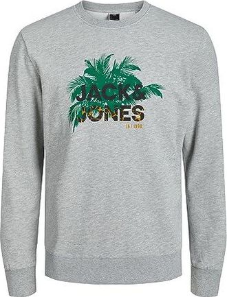 Jack & Jones Sweat-Shirt Jcosalty à col Rond FST pour Homme, Gris Clair chiné/détail : Nouveau Lgm, M