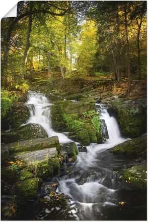 Artland Wanddeko Poster & Kunstdrucke Wandposter 80x120 cm Hochformat Natur Wald Bäume Farn Moos Bach Wasserfall Harz U4PG