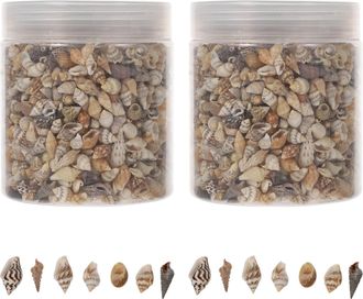 BESPORTBLE HOODANCOS Nat&uuml;rliche Kleiner Muscheln F&uuml;llmaterial Aus Meeresschnecken Muschel Selbstgemacht Epoxidharz F&uuml;ller F&uuml;r Basteln Schmuck Vasen Und Geschenko