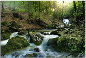 Wallario Outdoor-Poster für Garten oder Balkon Fließender Bach im Wald bei Sonnenuntergang, Motivbanner Größe: ca. 120 x 180 cm, Outdoor-Bild