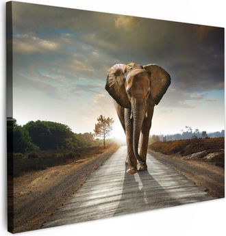 MuchoWow © Wandbilder 70x50 cm Schlafzimmer Home Deko Wohnung Bild Tier Wohnzimmer Fotoleinwand Wand Bilder Tierbilder auf Leinwand Wall Decor Wanddeko Waldtie