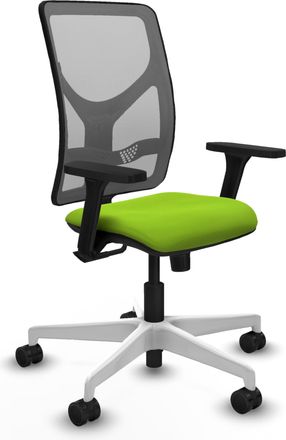 Piqueras y Crespo B&uuml;rostuhl Home Office mit 3D-Armlehnen, h&ouml;henverstellbare Lendenwirbelst&uuml;tze, ausgestattet mit 3 Positionen und Schneidschaum, Grau/Pistazie