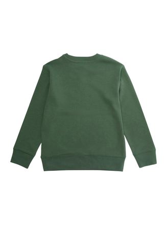 Polo Ralph Lauren Boys Sweatshirt Pony Embroidery Green Cotton Hoods & Sweatshirts
