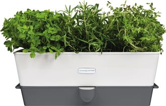 Cole & Mason Burwell 3-Fach Kräutertopf Selbstbewässernd, Kräutertopf Balkon/Kräutergarten für die Küche/Für Frische Küchenkräuter, Enthält 12 x Pads