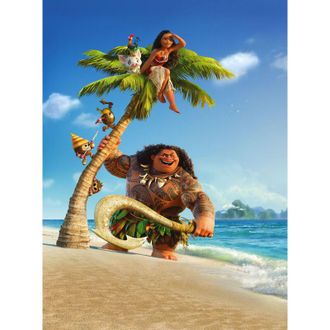 Komar Komar - Poster g&eacute;ant intiss&eacute; Vaiana et Maui - 184 x 248 cm