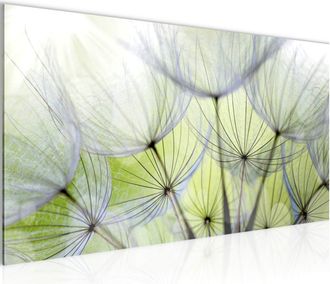 Runa Art Wandbild Pusteblume 1 Teilig 100 x 40 cm Modern Bild auf Vlies Leinwand Natur Wohnzimmer Schlafzimmer Grün 206112a