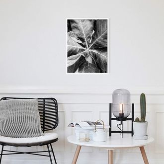 Homemania Bild Tropical Natur für Wohnzimmer Weiß Schwarz aus Kiefernholz 30 x 40 cm