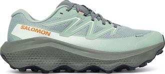 Salomon Laufschuhe Salomon Ultra Flow 2 Gtx GORE-TEX L45473900 Gr&uuml;n
