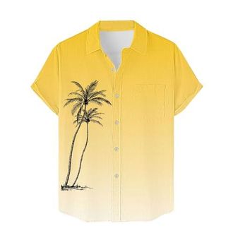 Generic Chemise hawa&iuml;enne pour homme, chemise d&eacute;t&eacute; grande taille, chemise de plage imprim&eacute;e, chemise &agrave; manches courtes, couleur d&eacute;grad&eacute;e, haut de vacances d&eacute;c
