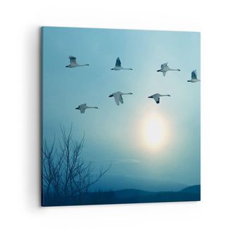 Arttor Wandbilder Dekoration Wohnzimmer Storch Vogel Natur Bilder auf Leinwand 50x50cm Leinwandbild mit Rahmen Schlafzimmer K&uuml;che Deko Wand Kunstdruck Art Kl
