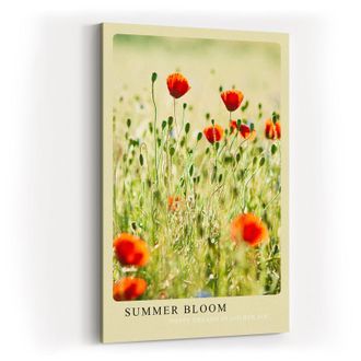 Paul Sinus Art Paul Sinus Kunstdruck 40x60cm Sommer Mohnblumen Feld Blumenwiese Natur Licht Summer Bloom