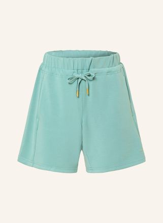 Venice Beach Venice Beach Shorts gruen
