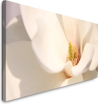 Paul Sinus Art GmbH weiße Magnolienblüte Nahaufnahme 120x 50cm Panorama Leinwand Bild XXL Format Wandbilder Wohnzimmer Wohnung Deko Kunstdrucke