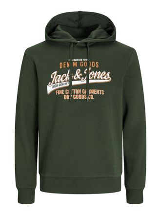 Jack & Jones JJELOGO Sweat Hood 2 COL 24/25 NOOS