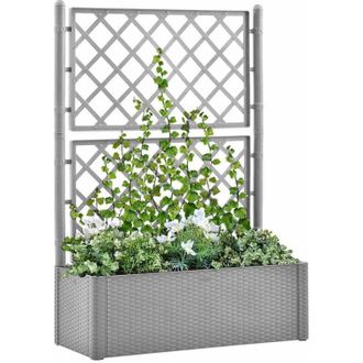 vidaXL Vidaxl - Lit sur&eacute;lev&eacute; de jardin et treillis et syst&egrave;me darrosage Gris
