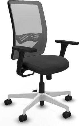 Piqueras y Crespo Zulema Telearbeitsstuhl mit 3D-Armlehnen, h&ouml;henverstellbare Lendenwirbelst&uuml;tze, ausgestattet mit Sincro 3 Positionen und Schneidschaum. Mit Rollen von