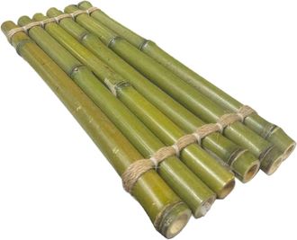 Cabilock Lebendige Aquariumlandschaft Als Aquariumdekoration Realistisches Design