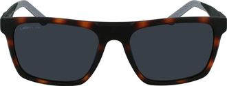 Lacoste Homme, Accessoires, Brun, Taille: ONE Size Lunettes de soleil